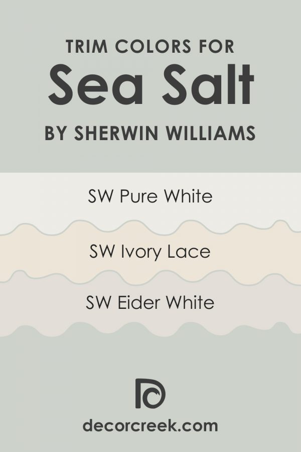 Sea Salt SW 6204 Paint Color by Sherwin-Williams - DecorCreek
