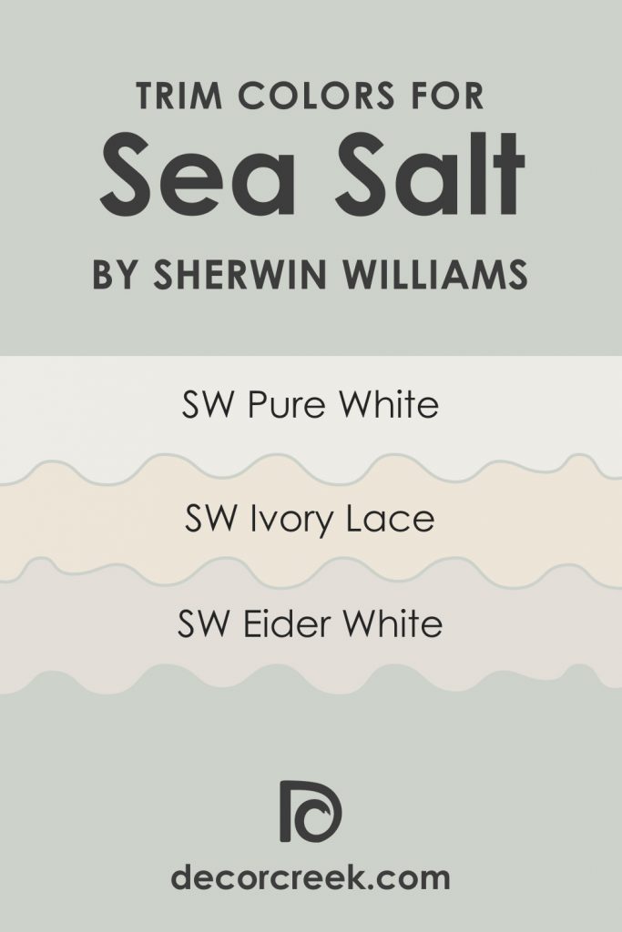 Sea Salt SW 6204 Paint Color by Sherwin-Williams - DecorCreek