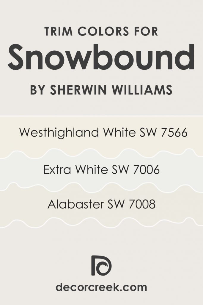 Snowbound SW 7004 Paint Color by Sherwin-Williams