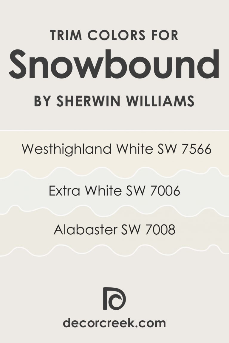 Snowbound SW 7004 Paint Color by Sherwin-Williams