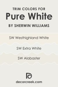 Pure White SW 7005 Paint Color by Sherwin-Williams
