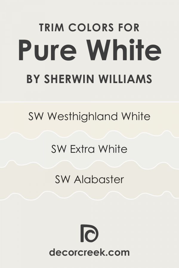 Pure White SW 7005 Paint Color by Sherwin-Williams