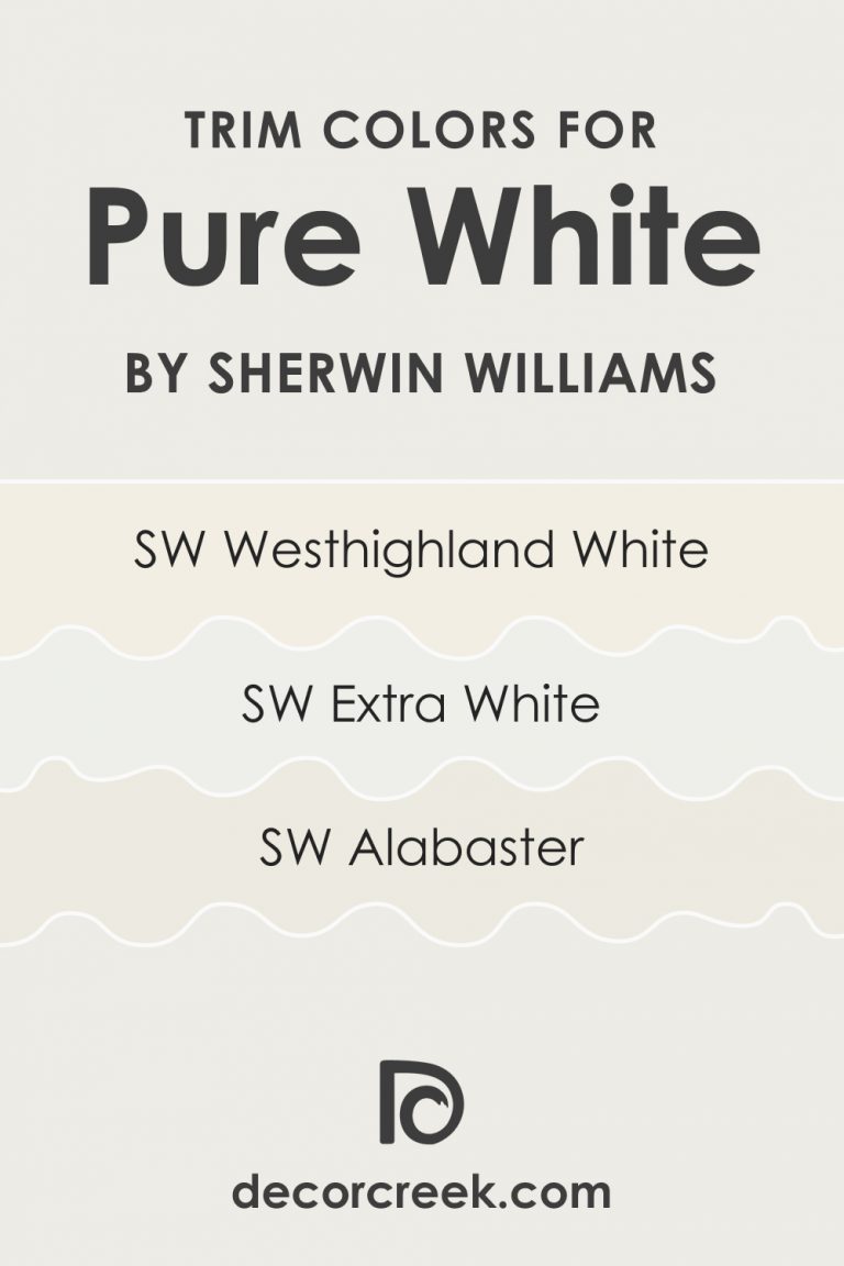 Pure White SW 7005 Paint Color by Sherwin-Williams