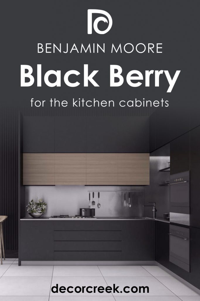 Black Berry 2119-20 Paint Color by Benjamin Moore - DecorCreek