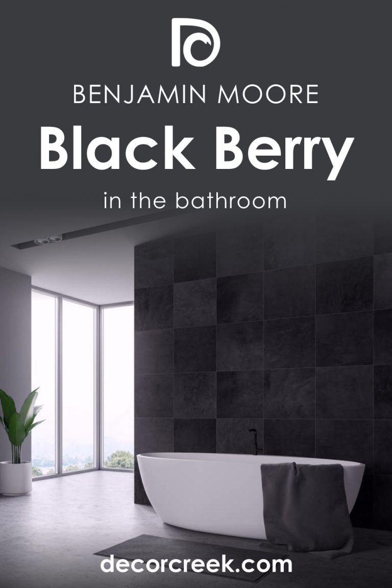 Black Berry 2119-20 Paint Color by Benjamin Moore - DecorCreek