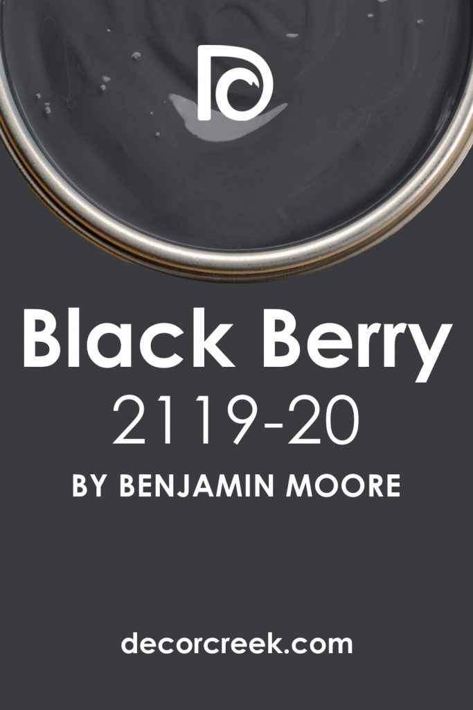 Black Berry 2119-20 Paint Color by Benjamin Moore - DecorCreek