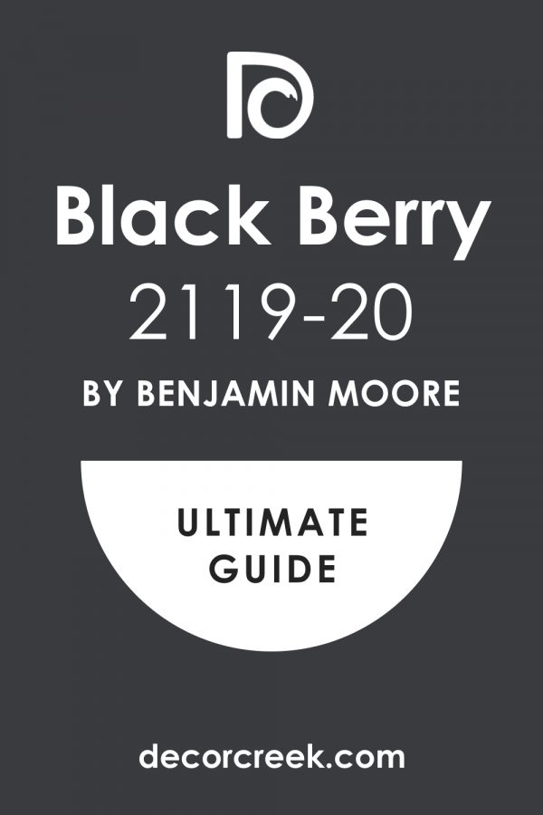 Black Berry 2119-20 Paint Color by Benjamin Moore - DecorCreek