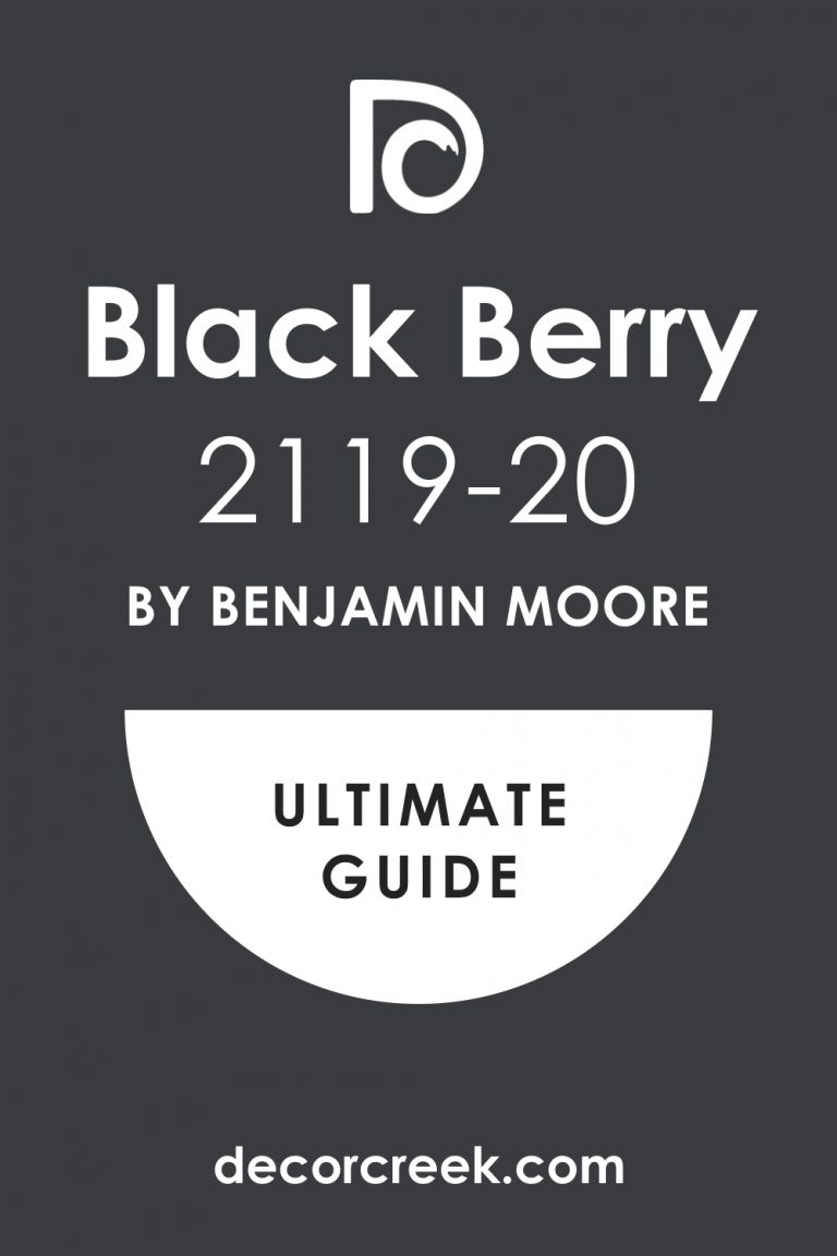 Black Berry 2119-20 Paint Color by Benjamin Moore - DecorCreek
