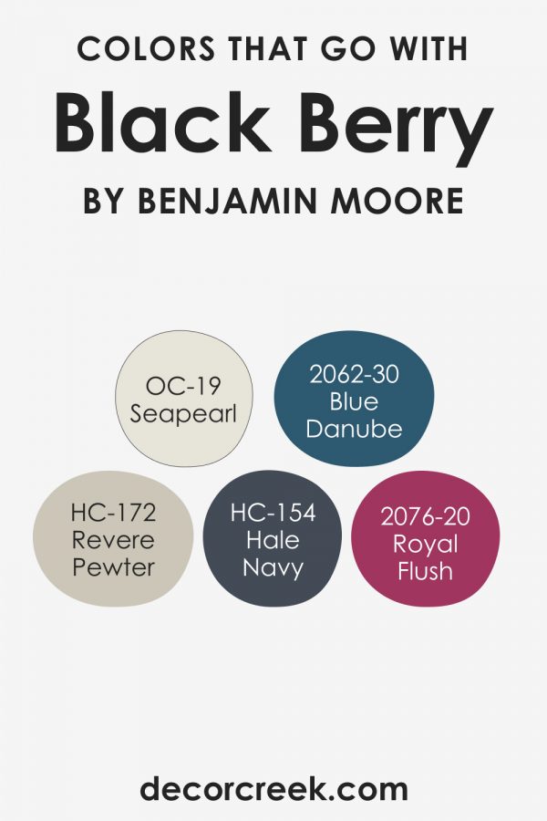 Black Berry 2119-20 Paint Color by Benjamin Moore - DecorCreek