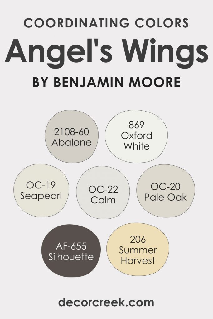 Angel's Wings 1423 Paint Color by Benjamin Moore - DecorCreek