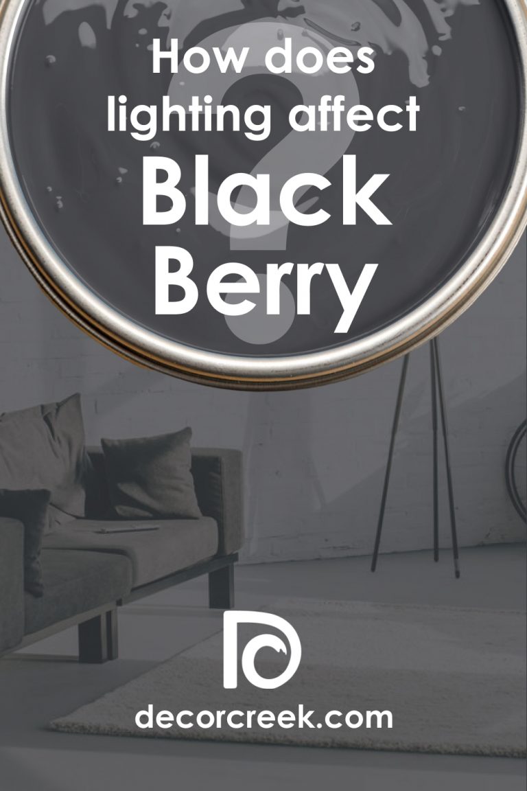Black Berry 2119-20 Paint Color by Benjamin Moore - DecorCreek