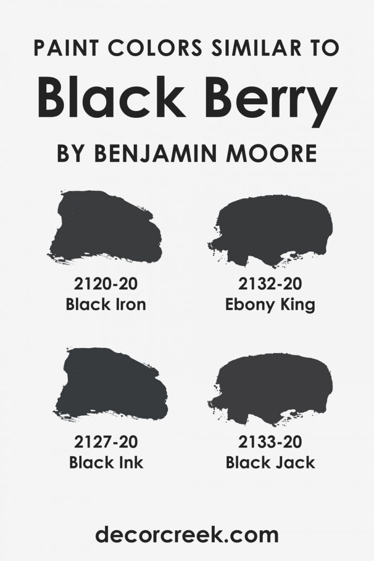 Black Berry 2119-20 Paint Color by Benjamin Moore - DecorCreek