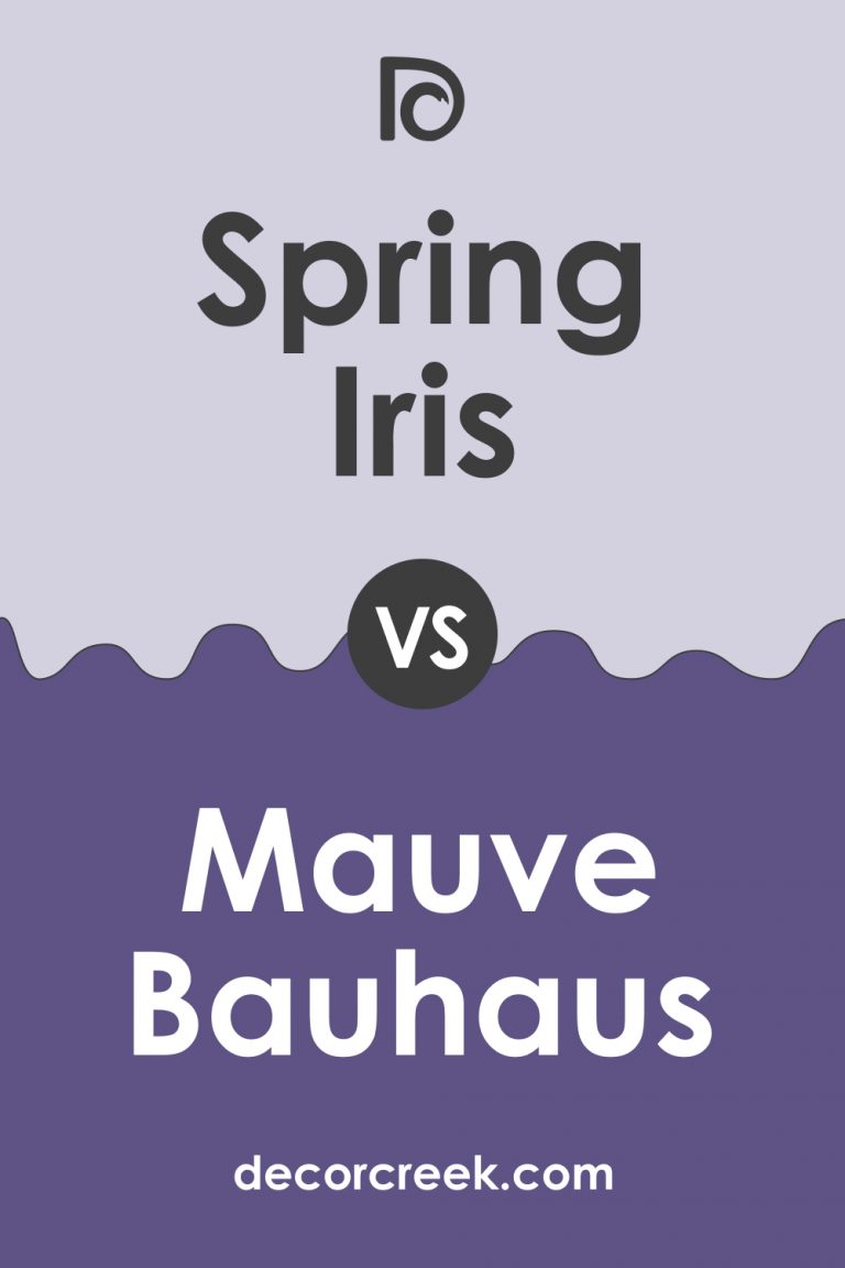 Spring Iris 1402 Paint Color by Benjamin Moore - DecorCreek