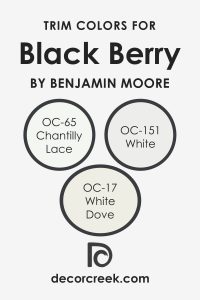 Black Berry 2119-20 Paint Color by Benjamin Moore - DecorCreek