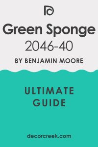 Green Sponge 2046-40 Paint Color by Benjamin Moore
