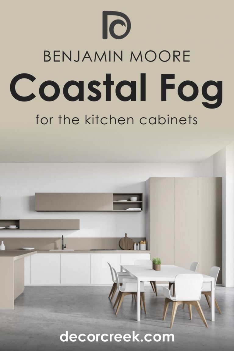 Coastal Fog AC-1 Paint Color by Benjamin Moore - DecorCreek