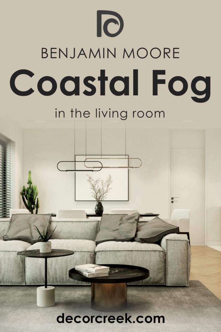 Coastal Fog AC-1 Paint Color by Benjamin Moore - DecorCreek