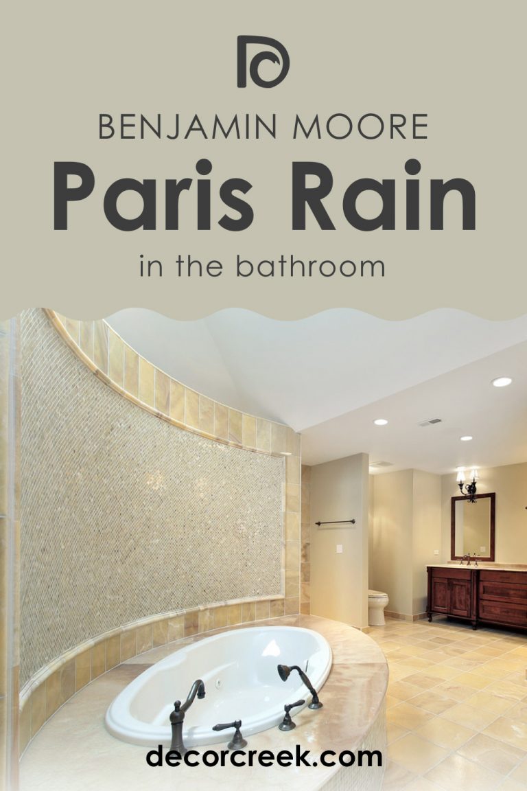 Paris Rain 1501 Paint Color by Benjamin Moore - DecorCreek