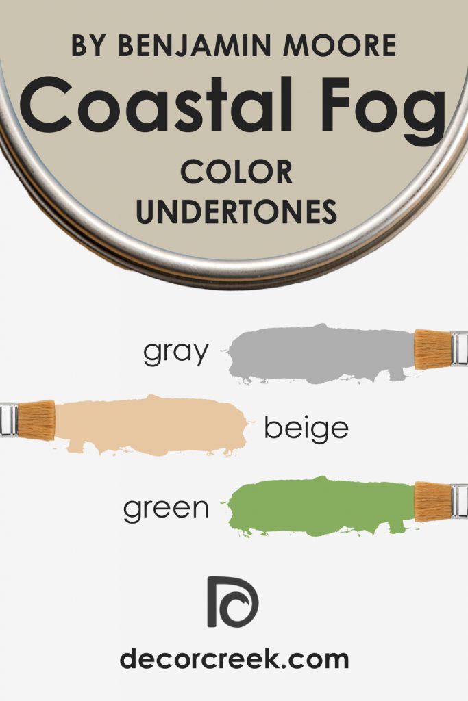 Coastal Fog AC-1 Paint Color by Benjamin Moore - DecorCreek