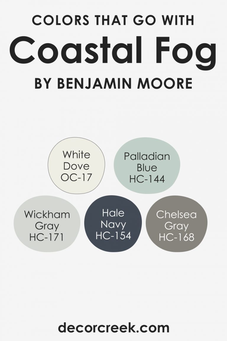 Coastal Fog AC-1 Paint Color by Benjamin Moore - DecorCreek