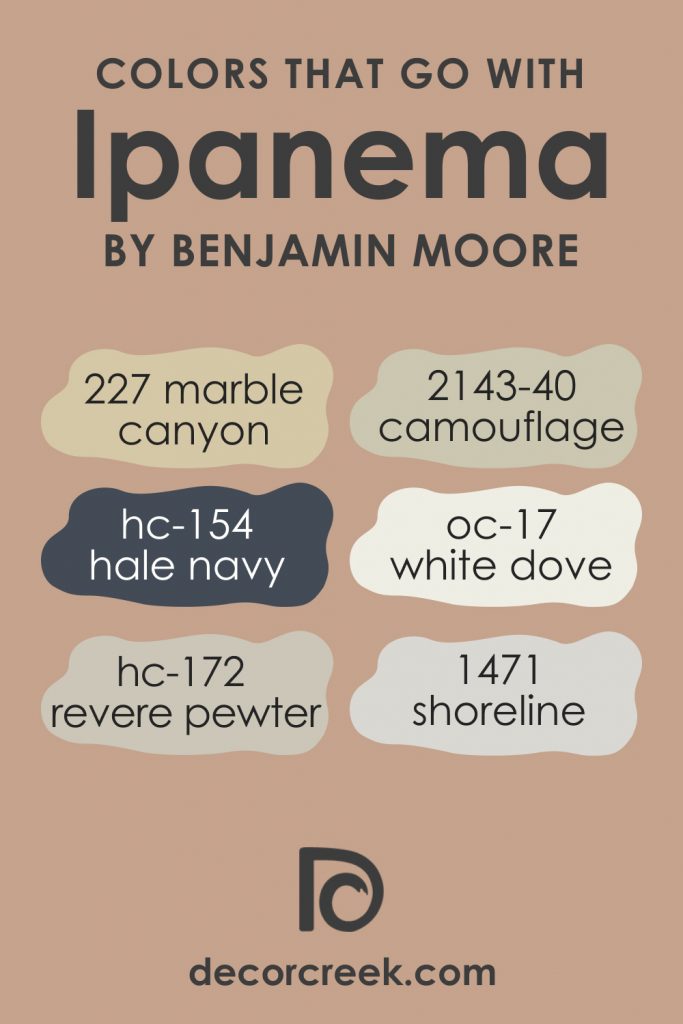Ipanema AF-245 Paint Color by Benjamin Moore - DecorCreek