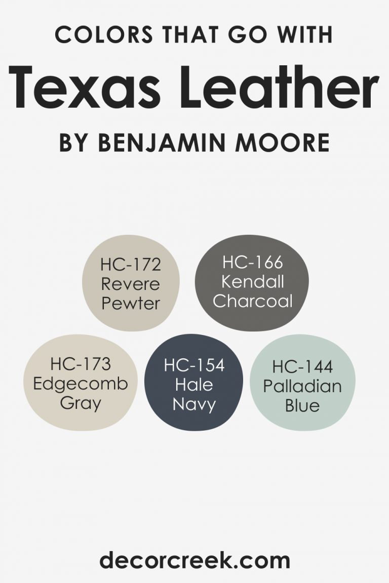 Texas Leather AC-3 Paint Color by Benjamin Moore - DecorCreek