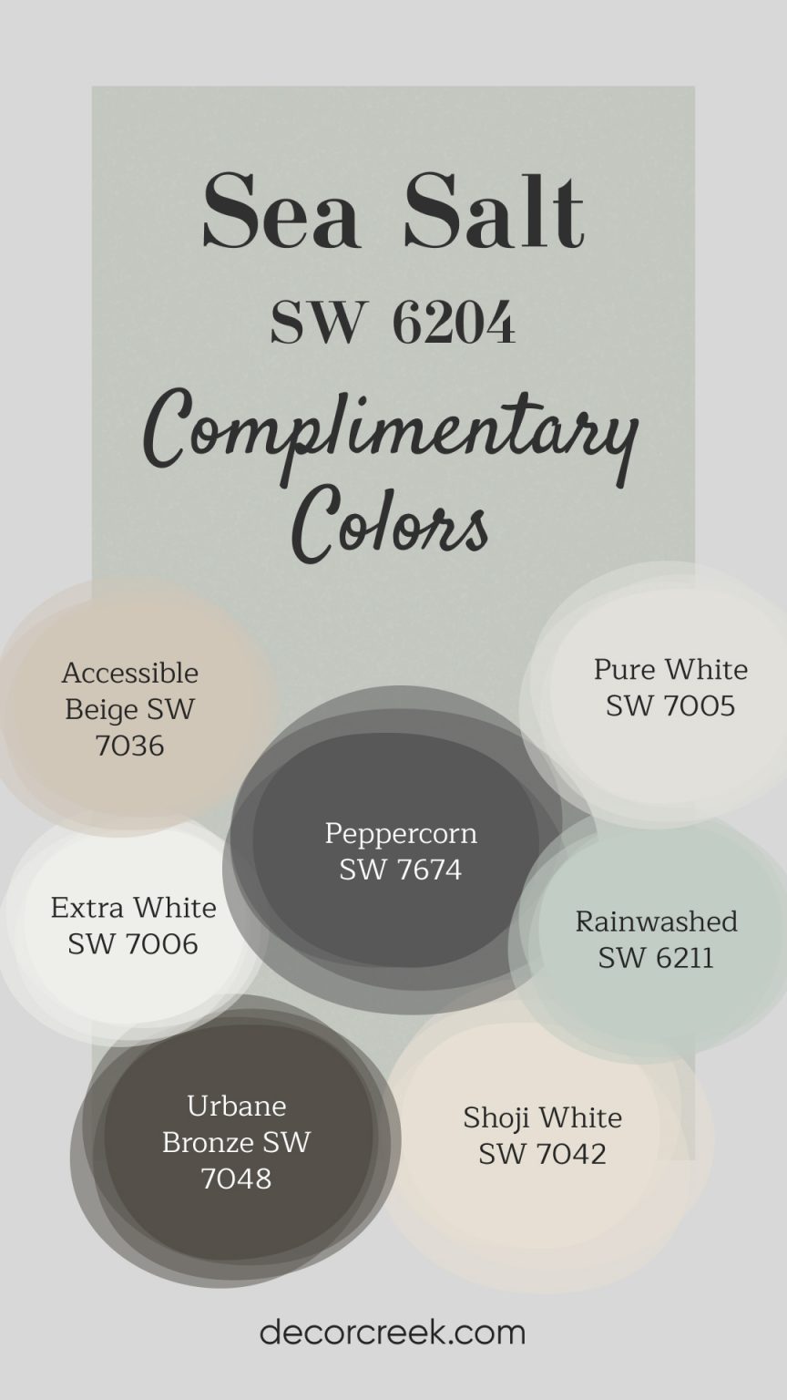 Sea Salt SW 6204 Paint Color by Sherwin-Williams - DecorCreek