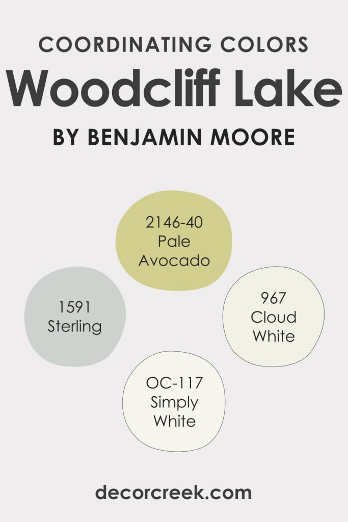 Woodcliff Lake 980 Paint Color by Benjamin Moore - DecorCreek