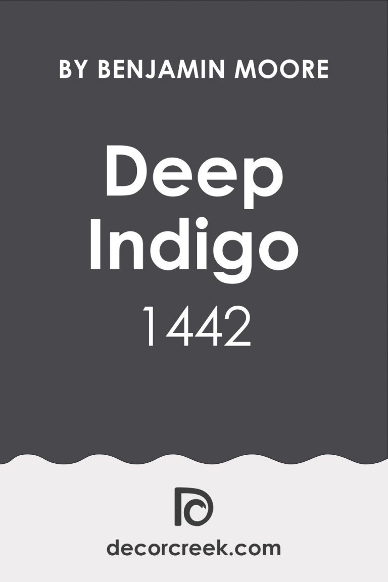 Deep Indigo 1442 Paint Color by Benjamin Moore - DecorCreek