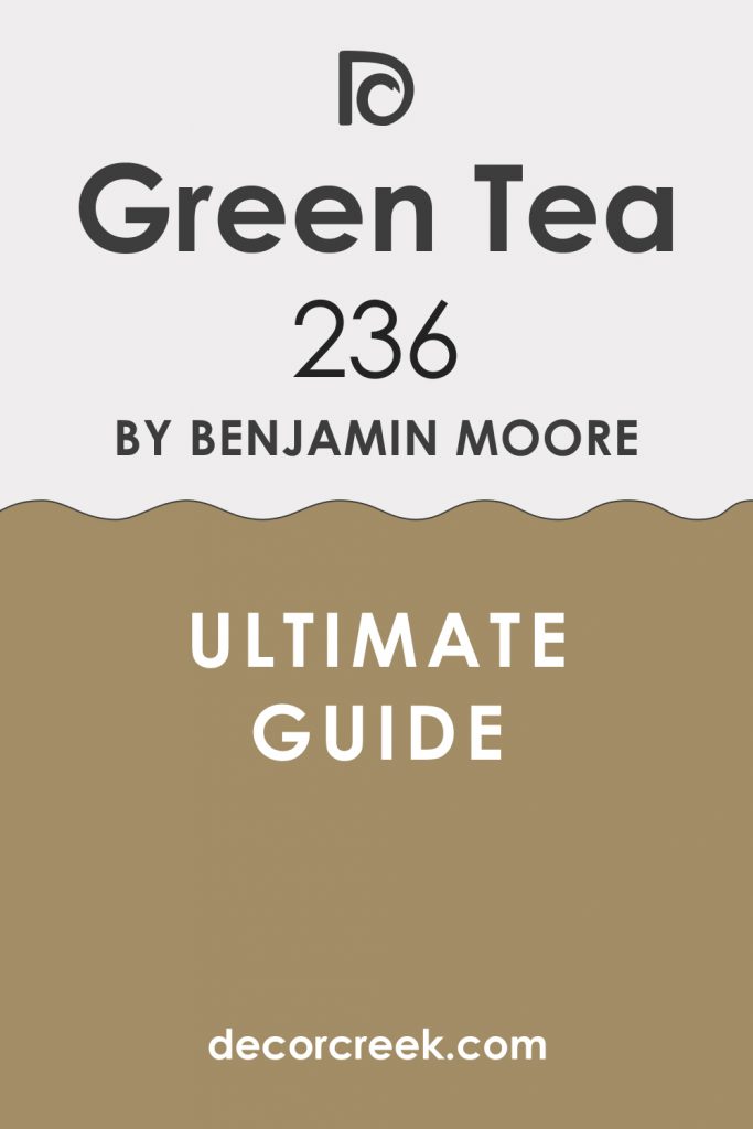 Green Tea 236 Paint Color by Benjamin Moore - DecorCreek
