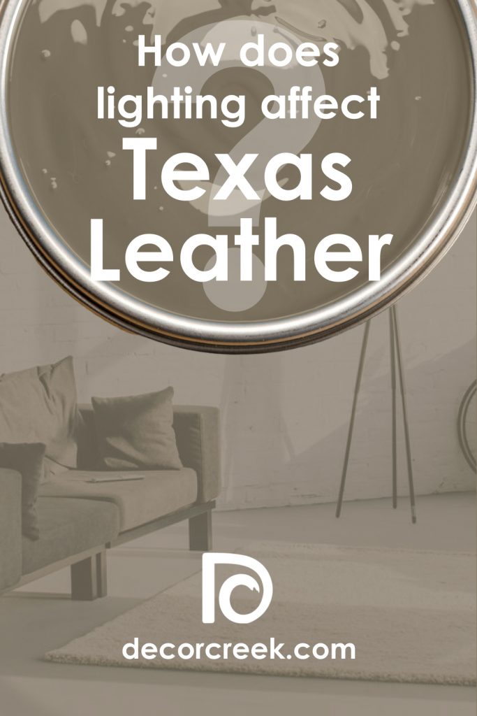 Texas Leather AC-3 Paint Color by Benjamin Moore - DecorCreek