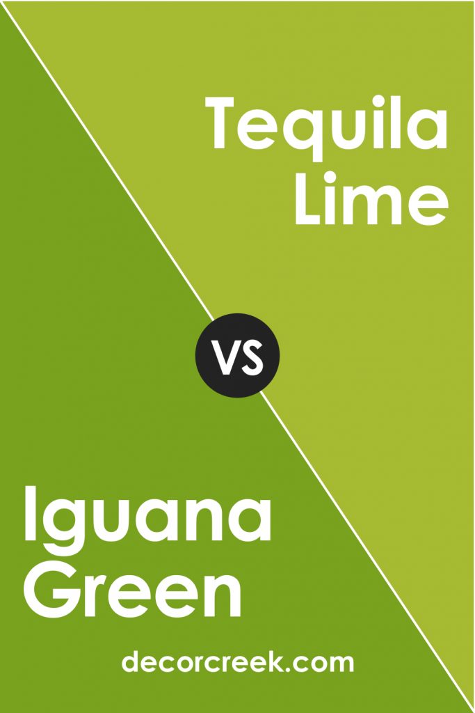 Iguana Green 2028-10 Paint Color by Benjamin Moore - DecorCreek