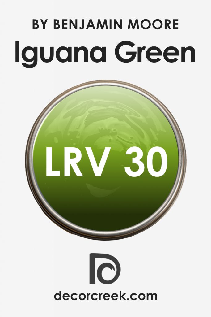 Iguana Green 2028-10 Paint Color by Benjamin Moore - DecorCreek