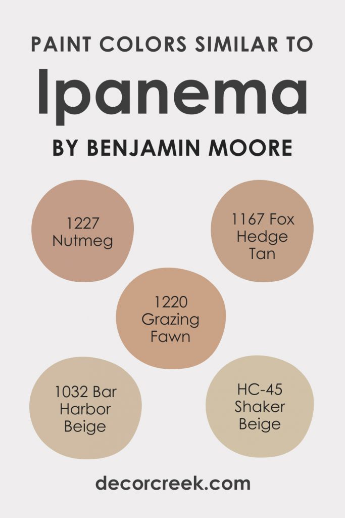 Ipanema AF-245 Paint Color by Benjamin Moore - DecorCreek