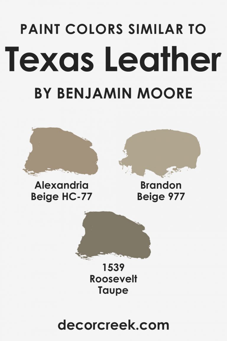 Texas Leather AC-3 Paint Color by Benjamin Moore - DecorCreek