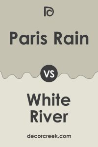 Paris Rain 1501 Paint Color by Benjamin Moore - DecorCreek