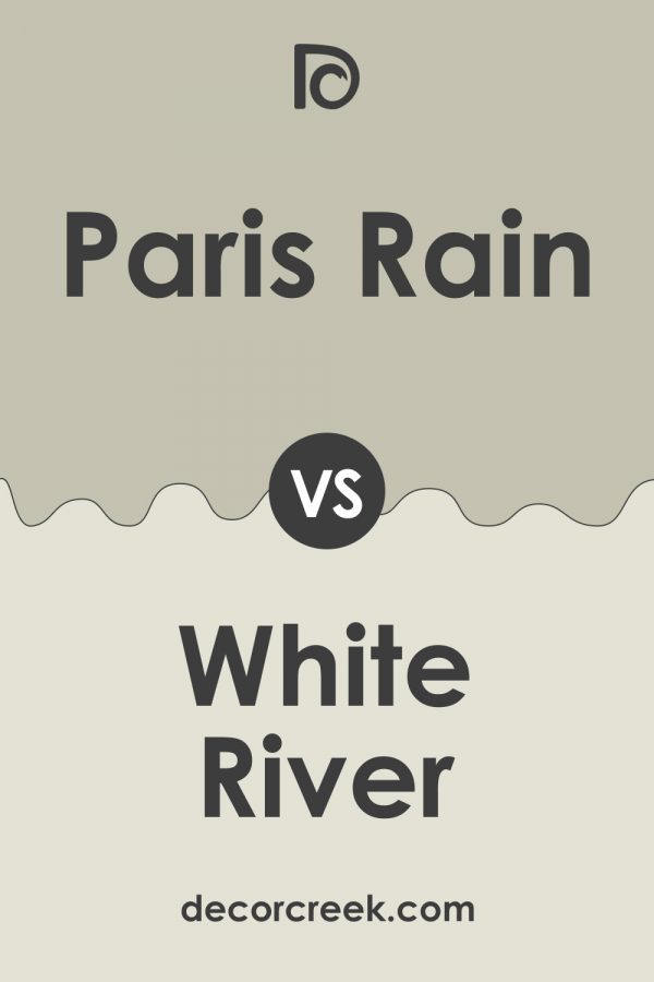 Paris Rain 1501 Paint Color by Benjamin Moore - DecorCreek