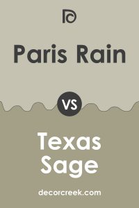 Paris Rain 1501 Paint Color by Benjamin Moore - DecorCreek