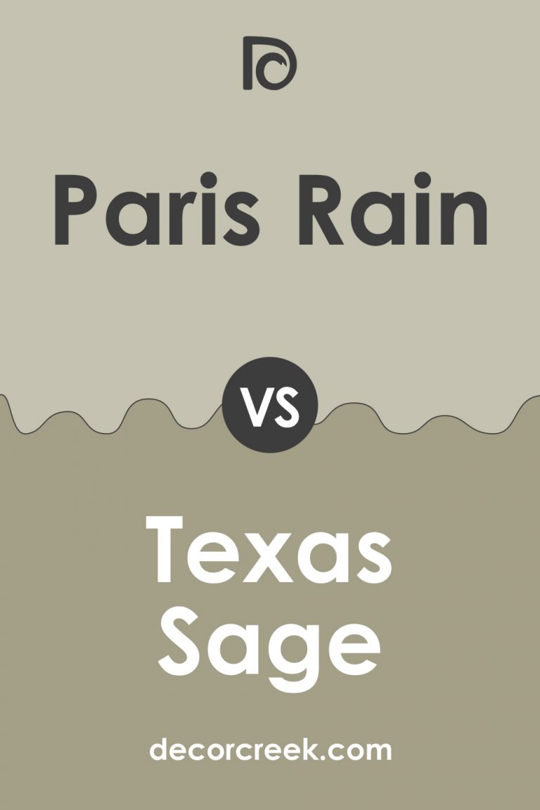 Paris Rain 1501 Paint Color by Benjamin Moore - DecorCreek