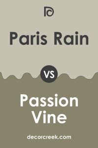 Paris Rain 1501 Paint Color by Benjamin Moore - DecorCreek