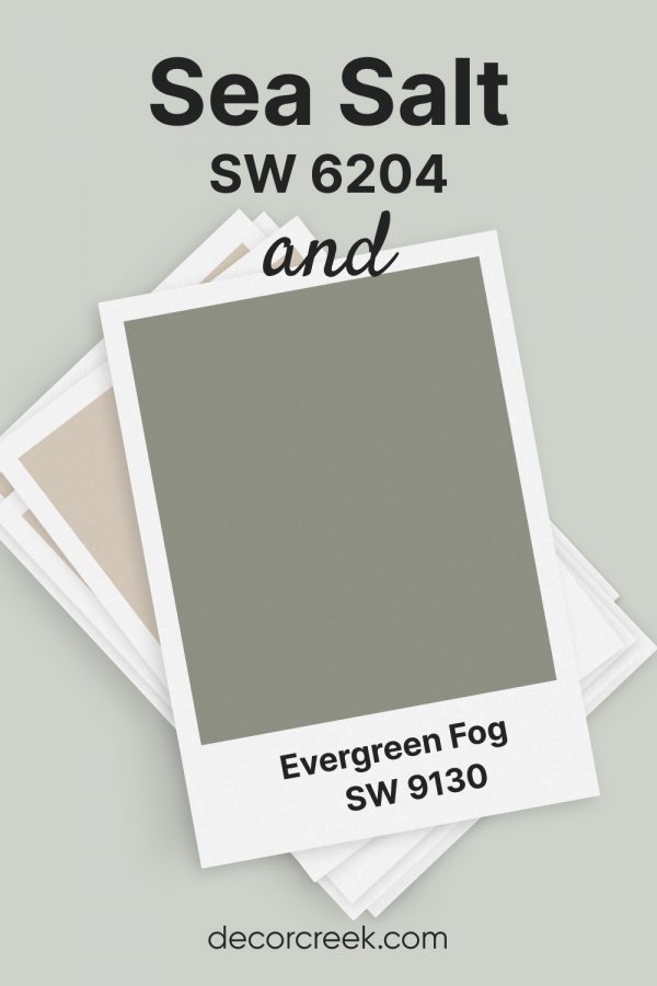 Sea Salt SW 6204 Paint Color by Sherwin-Williams - DecorCreek