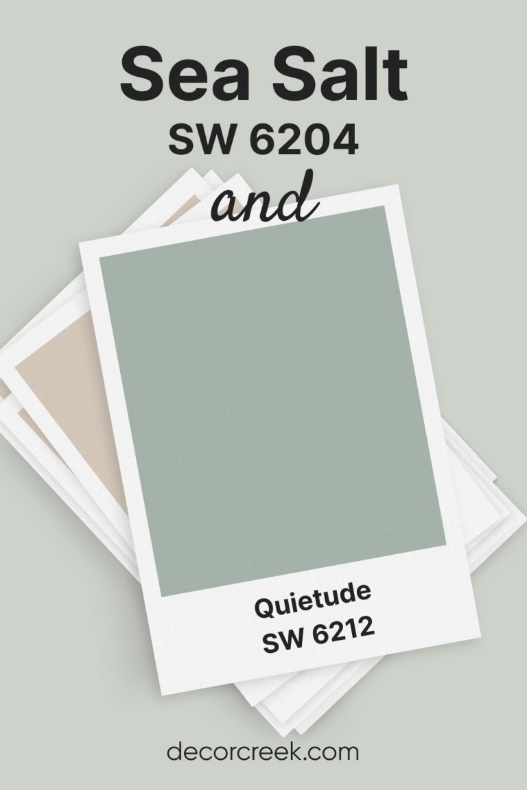 Sea Salt SW 6204 Paint Color by Sherwin-Williams - DecorCreek