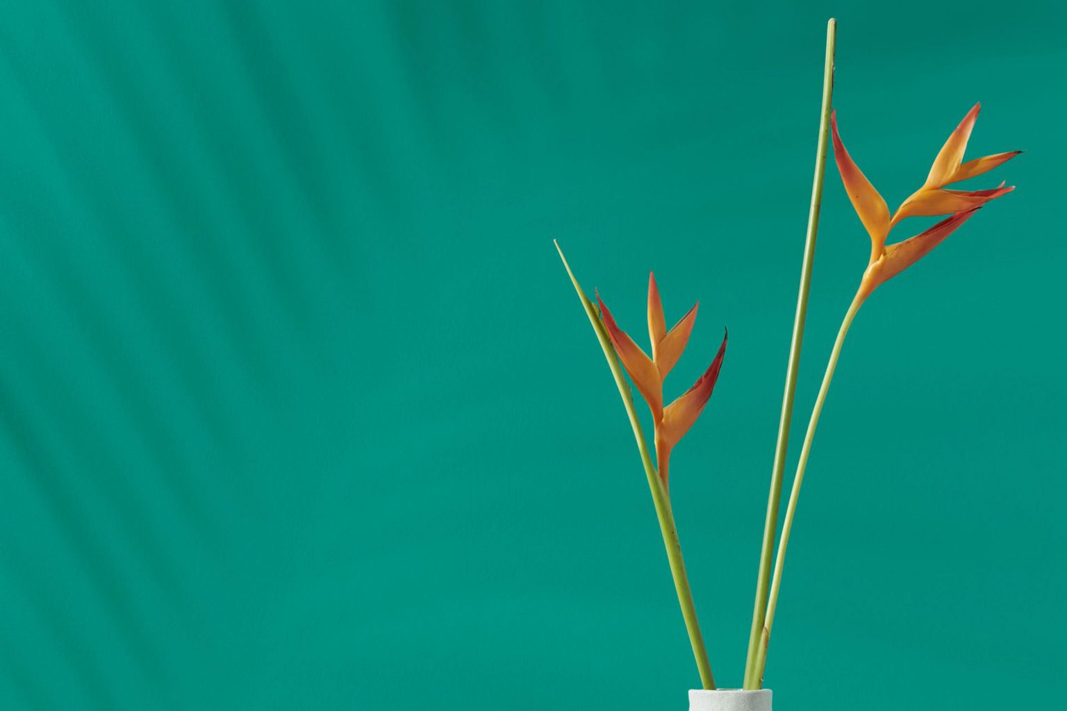 Neptune Green 658 Paint Color by Benjamin Moore - DecorCreek