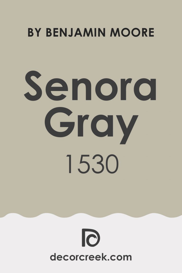 Senora Gray 1530 Paint Color by Benjamin Moore - DecorCreek