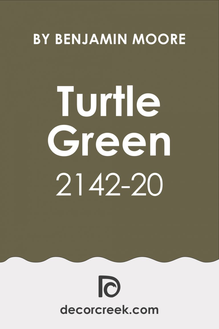 Turtle Green 2142-20 Paint Color by Benjamin Moore - DecorCreek