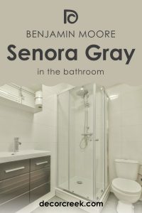 Senora Gray 1530 Paint Color by Benjamin Moore - DecorCreek
