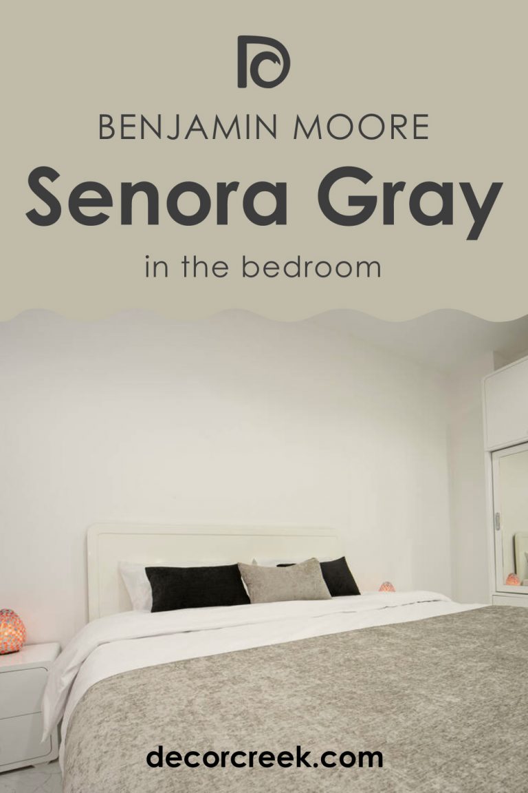 Senora Gray 1530 Paint Color by Benjamin Moore - DecorCreek