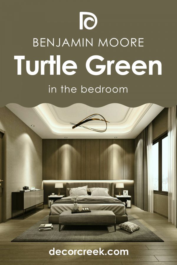 Turtle Green 2142-20 Paint Color by Benjamin Moore - DecorCreek