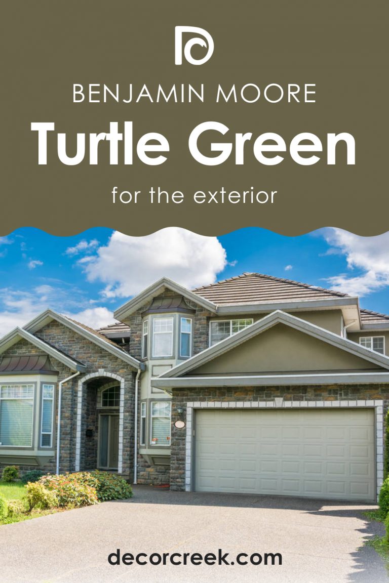 Turtle Green 2142-20 Paint Color by Benjamin Moore - DecorCreek