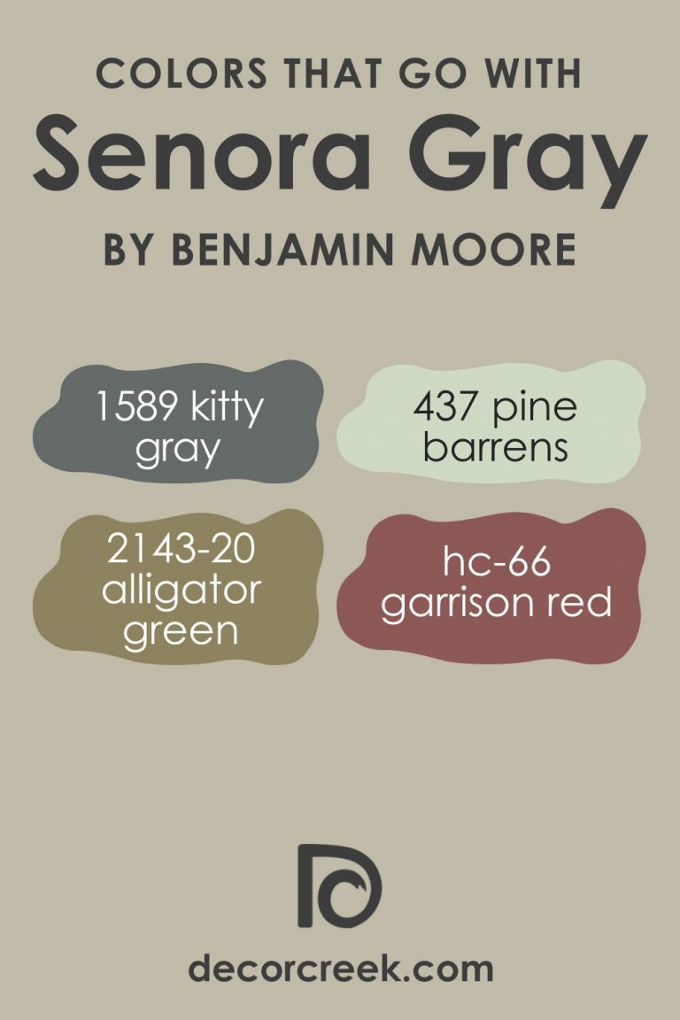 Senora Gray 1530 Paint Color by Benjamin Moore - DecorCreek